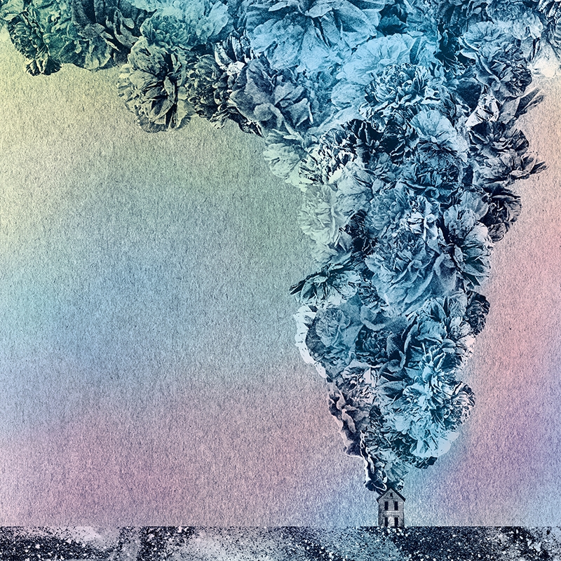 Review: Daughn Gibson – Carnation - SLUG Magazine