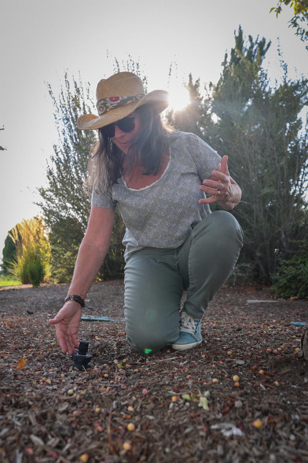Highway to the Hydrozone: Eco-conscious Landscaping with Stephanie Duer ...